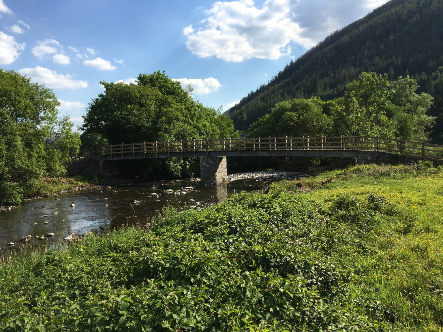 Walks & Trails – Dinas Mawddwy